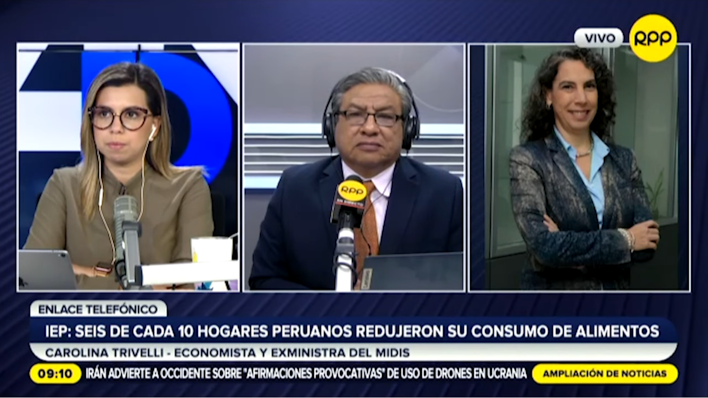 [ENTREVISTA] Carolina Trivelli: "Reducir o cambiar la composición del ...